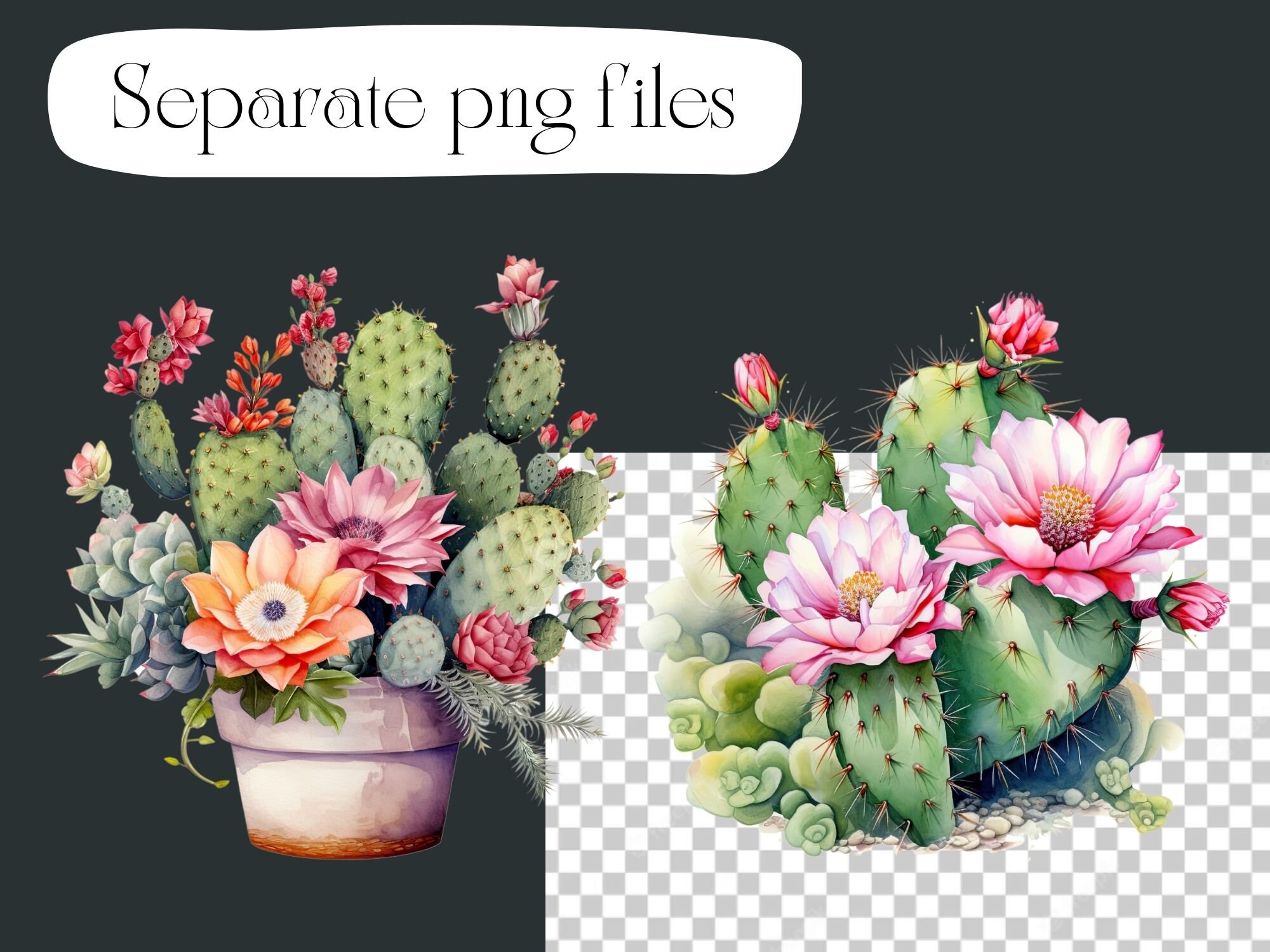 22 PNG Watercolor Floral Cactus Succulent Clipart - Instant Download - Etsy