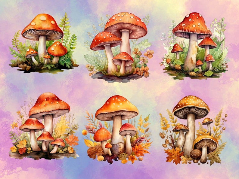 31 Watercolor Mushrooms Clipart PNG - Cute Forest Nature Toadstool Clip ...