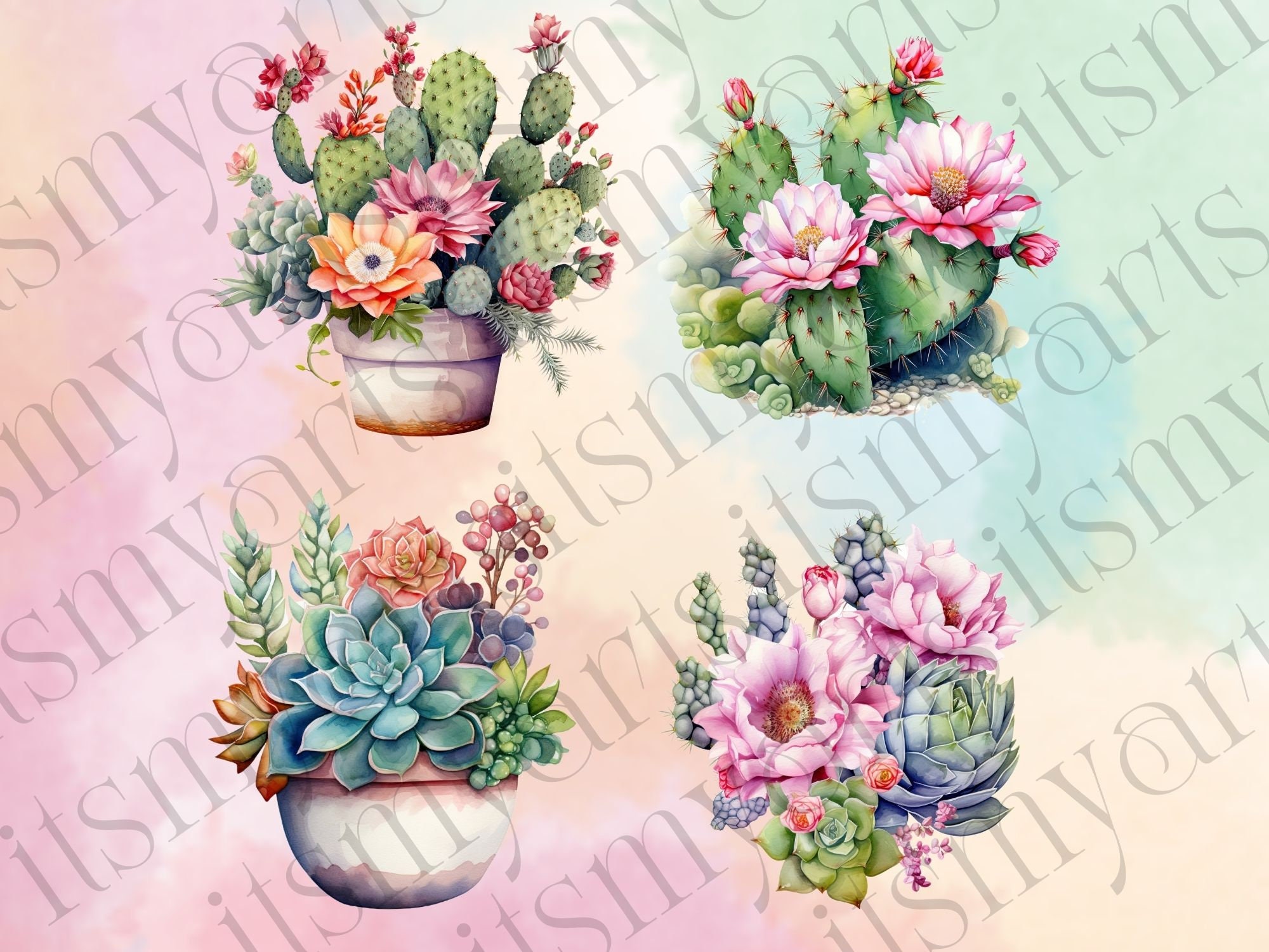 22 PNG Watercolor Floral Cactus Succulent Clipart - Instant Download - Etsy