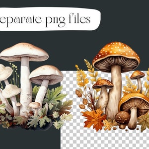 31 Watercolor Mushrooms Clipart PNG - Cute Forest Nature Toadstool Clip ...