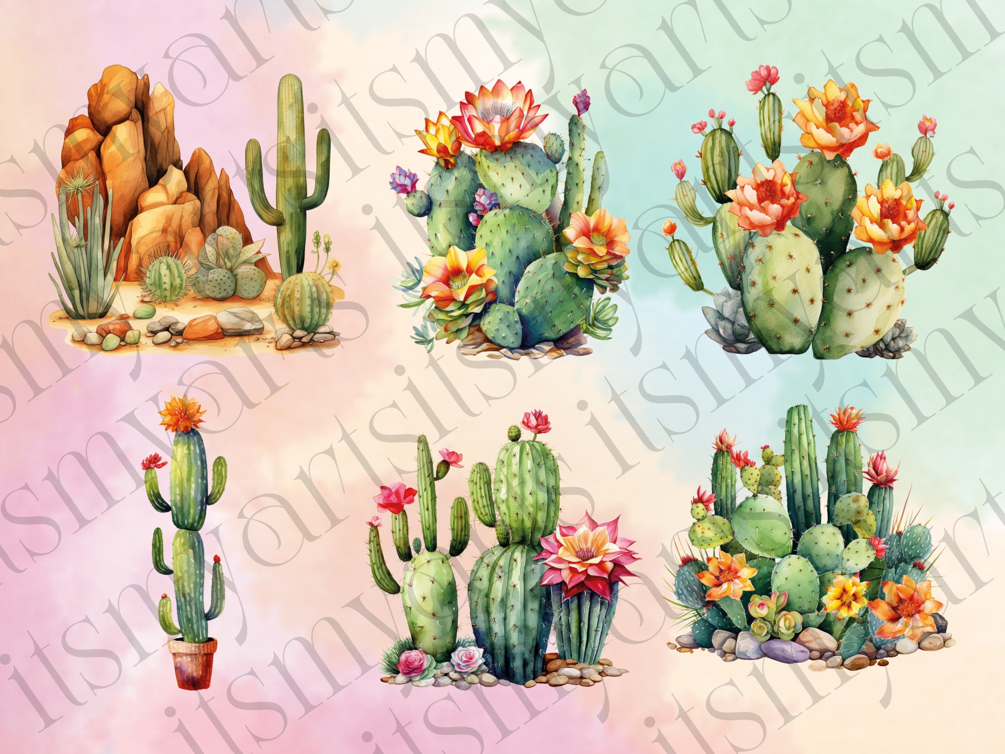 24 PNG Watercolor Floral Cactus Succulent Clipart - Instant Download - Etsy