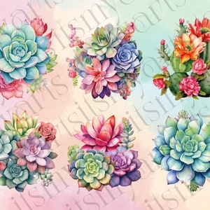 24 PNG Watercolor Floral Cactus Succulent Clipart - Instant Download - Etsy