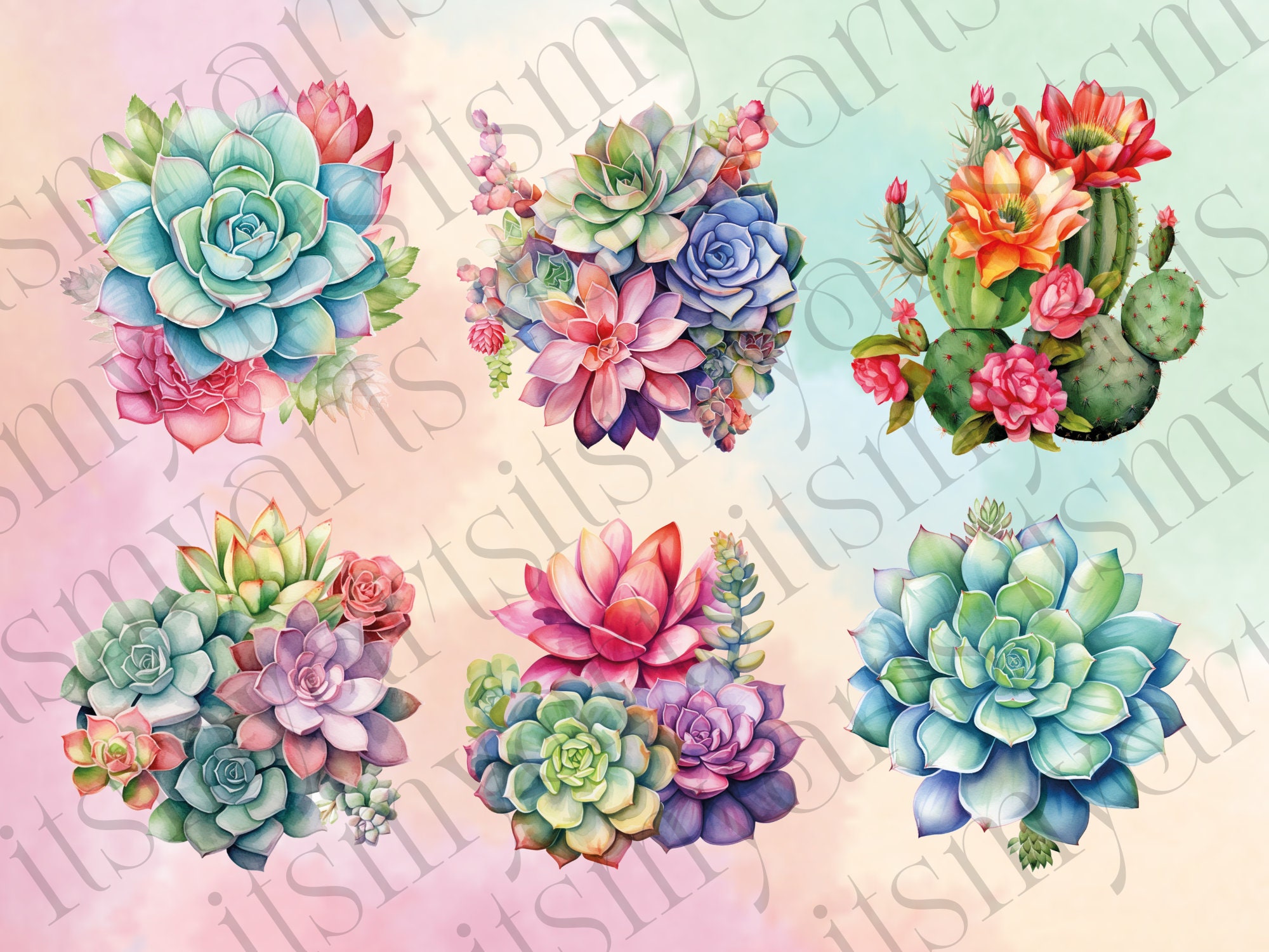24 PNG Watercolor Floral Cactus Succulent Clipart - Instant Download - Etsy