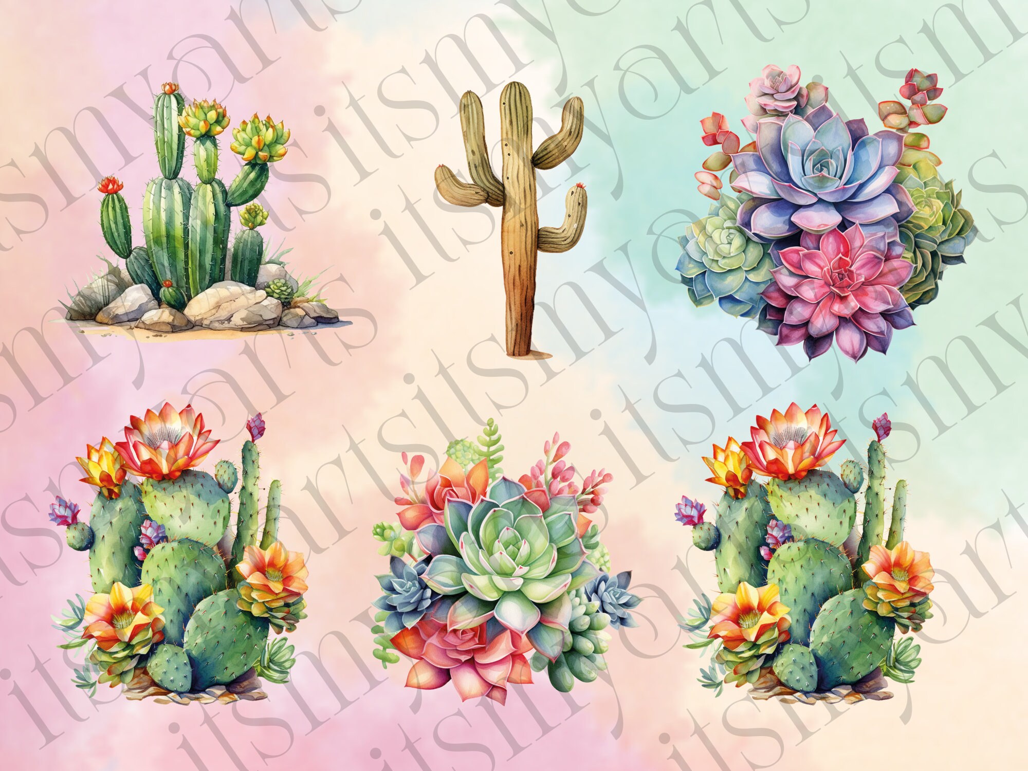 24 PNG Watercolor Floral Cactus Succulent Clipart - Instant Download - Etsy