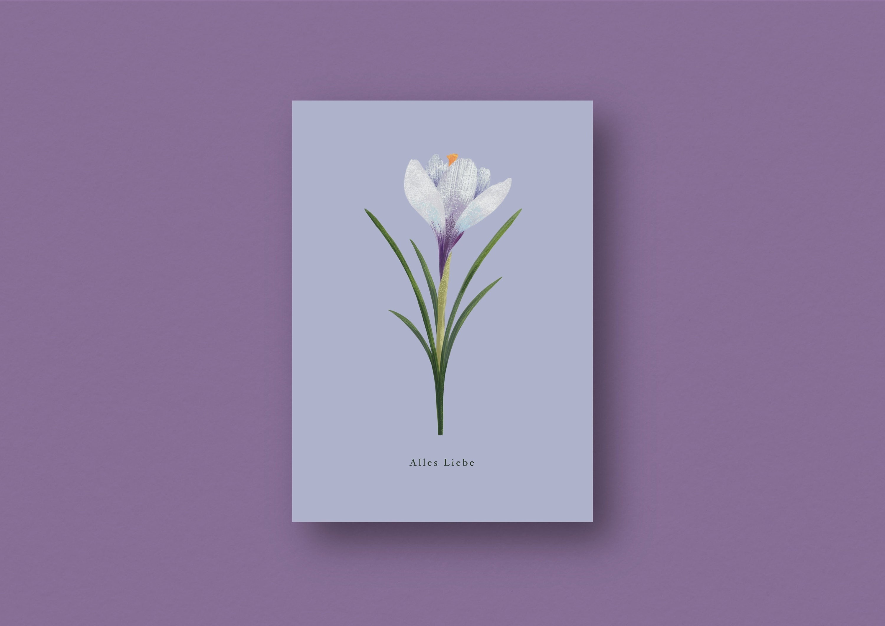 Birthday Card / Birthday Card With Crocus / Birthday Card - Etsy