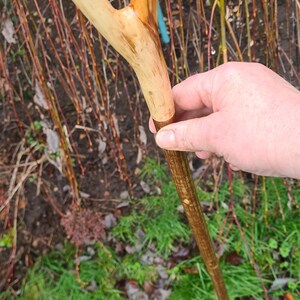 Handmade Hazel Wood Thumb Walking Stick: Rustic Hiking Staff - Etsy