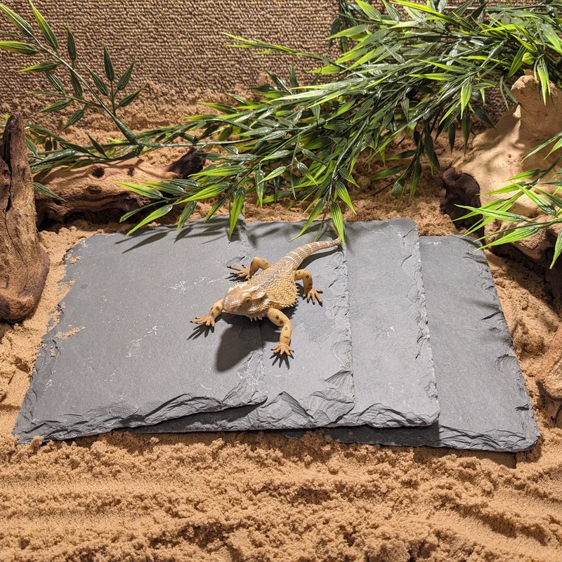 Slate Rock Reptile Hide - Etsy UK