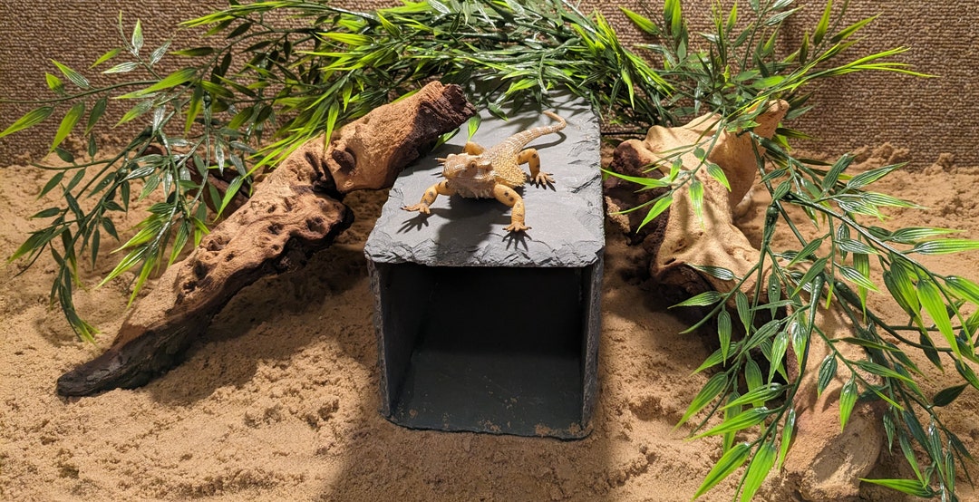 Large Natural Slate Cave Hide Tunnel Aquarium Fish Pleco Catfish Loach ...