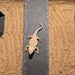 XXL Extra Super Large Slate Cave Hide Tunnel Vivarium Reptile Lizard ...