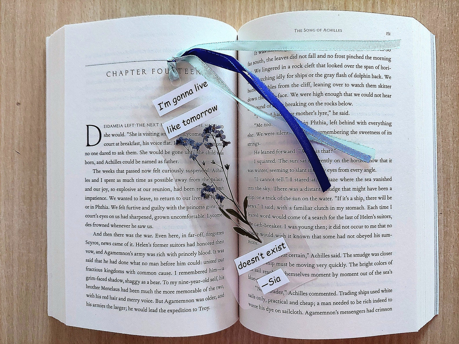 Transparent, Clear Bookmarks With Real Pressed Flowers and With Songs ...