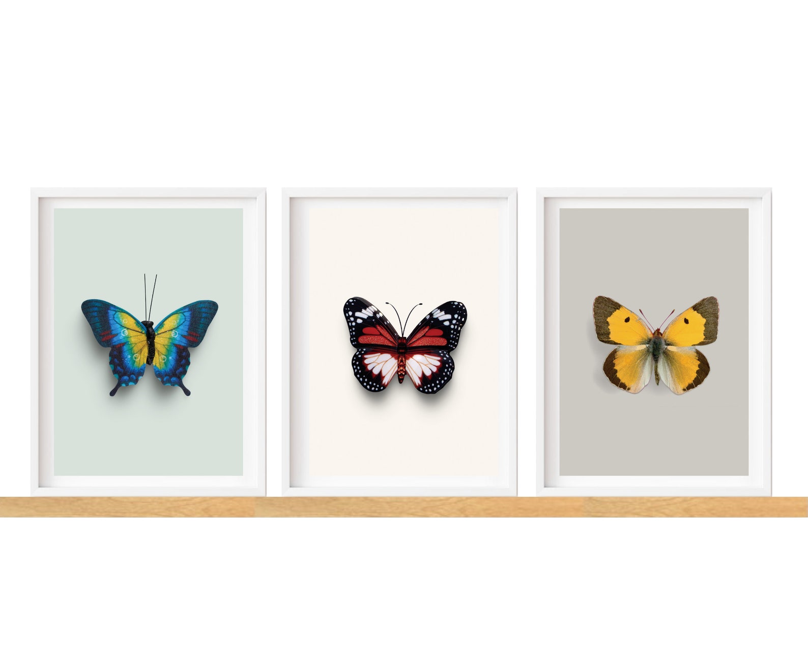Set of 3, Butterfly Printable Wall Art, Butterfly Gallery Print ...