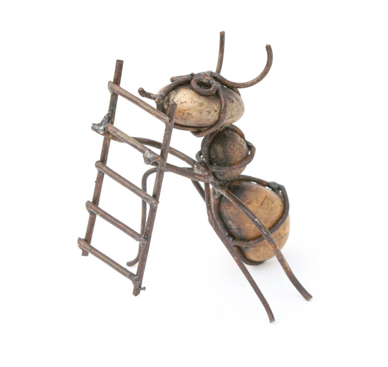 6 Small Ant Garden Decoration - Etsy