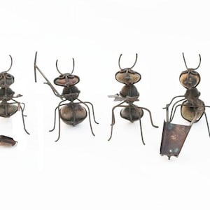 6 Small Ant Garden Decoration - Etsy