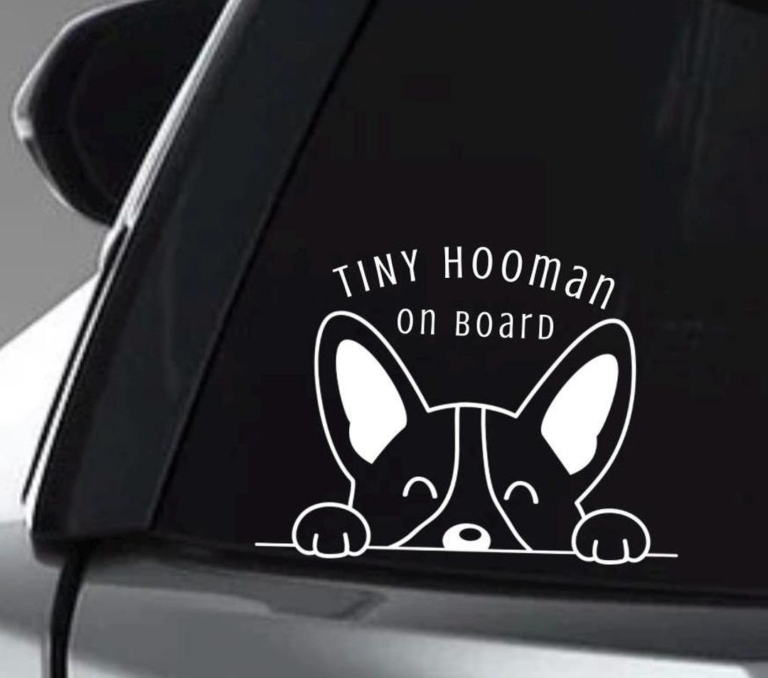 HOOMAN ON BOARD Decal/ Baby on Board Decal/ New Born Decal/ Baby Decal ...