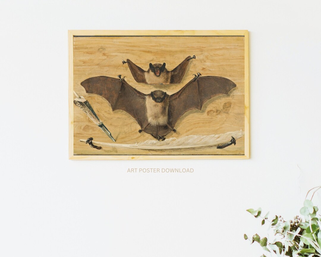 Bat Vintage Poster Wall Art Decor Spooky Dark Academia Moody Vintage ...