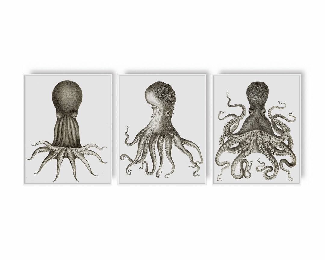 Octopus Vintage Art Poster Printable Set of 3, Triptych Kraken ...