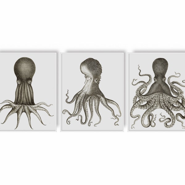 Octopus Triptych - Etsy