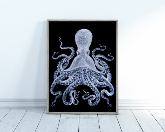 Octopus X Ray