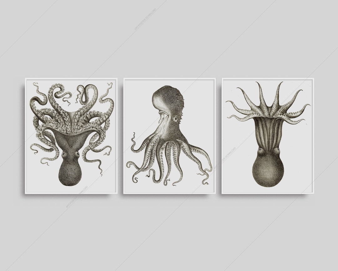 Triptych Set Vintage Octopus Print, 3 Piece Set Kraken Printable Art ...