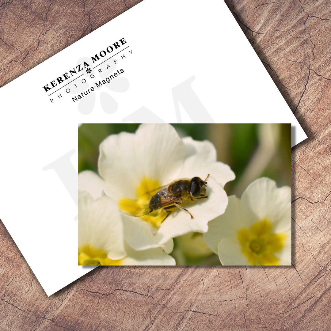 Bee & Primrose Fridge Magnet for Granny Collectable Photo Magnets ...
