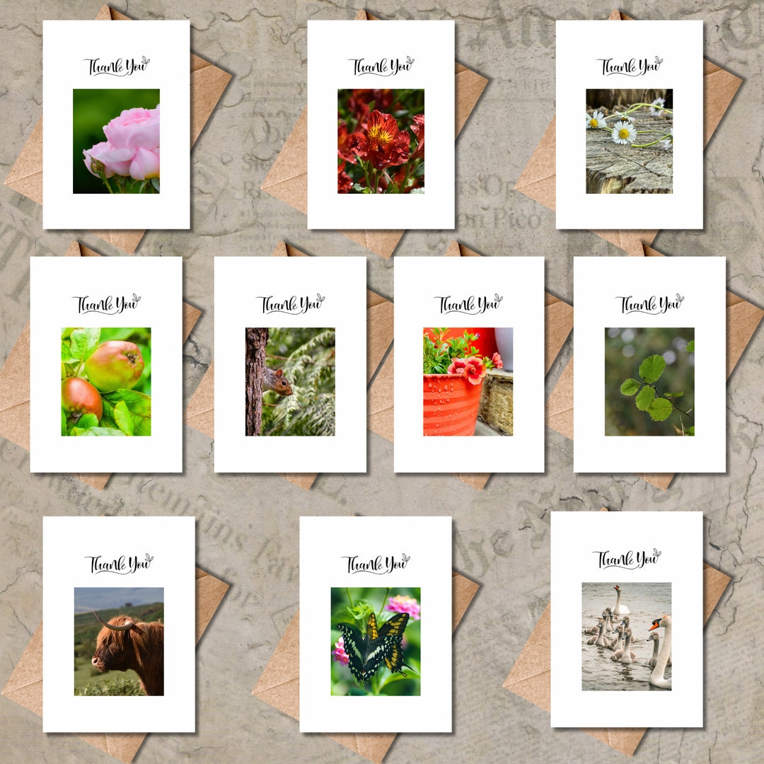 Pack of 10 Thank You Cards Nature Themed Thank You Cards Bundle Ten ...