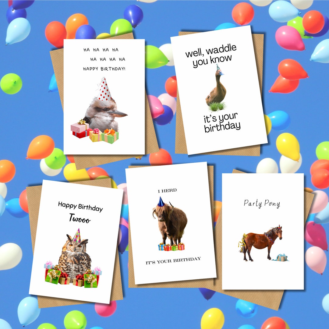 Pack of Funny Animal Birthday Cards Cute Bundle of 5 Cards for Friends ...