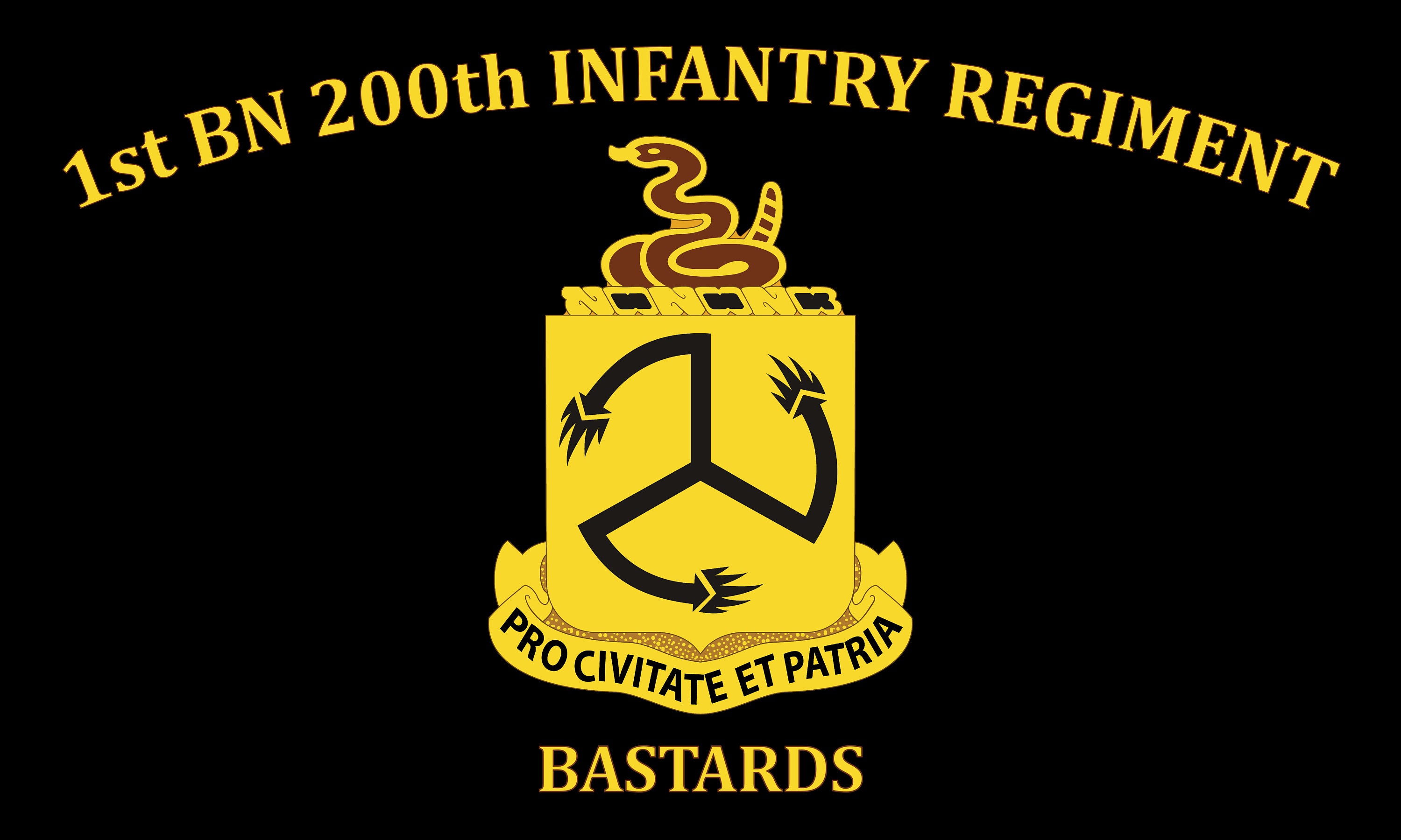 1st BN 200th Infantry Regiment Flag | Measures 3'x5' | Bastards ...