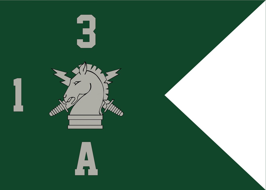 Custom Psychological OPS Guidon | Double Sided | 20"x27" | PO | Free ...