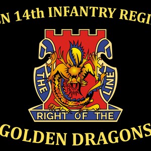 14th IN. Flags & Guidons | Double Sided | GOLDEN DRAGONS | 3’x5’ and 20 ...