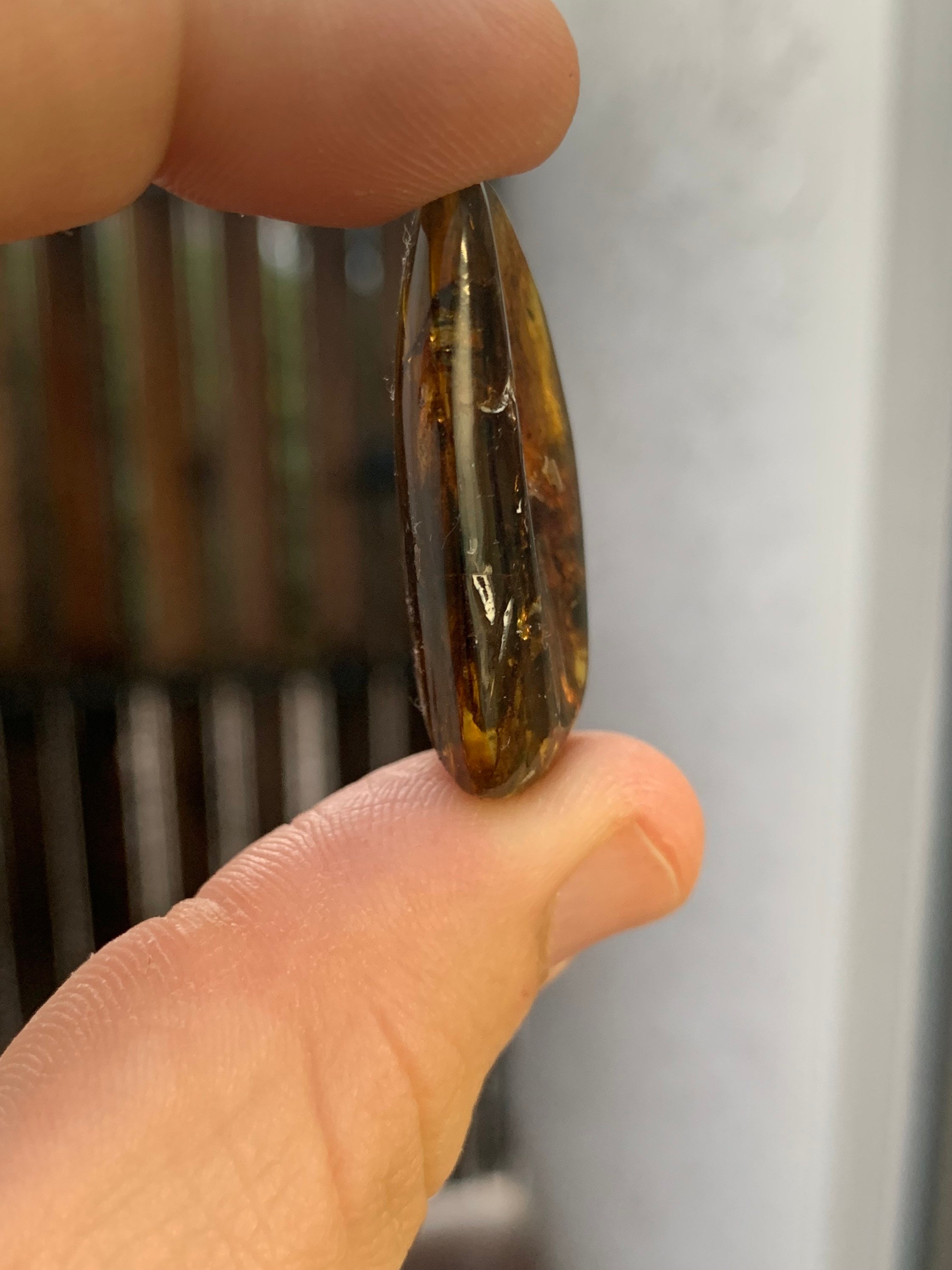 Polished Amber Fossilized Tree Sap Chiapas Mexico Mineral Specimen - Etsy