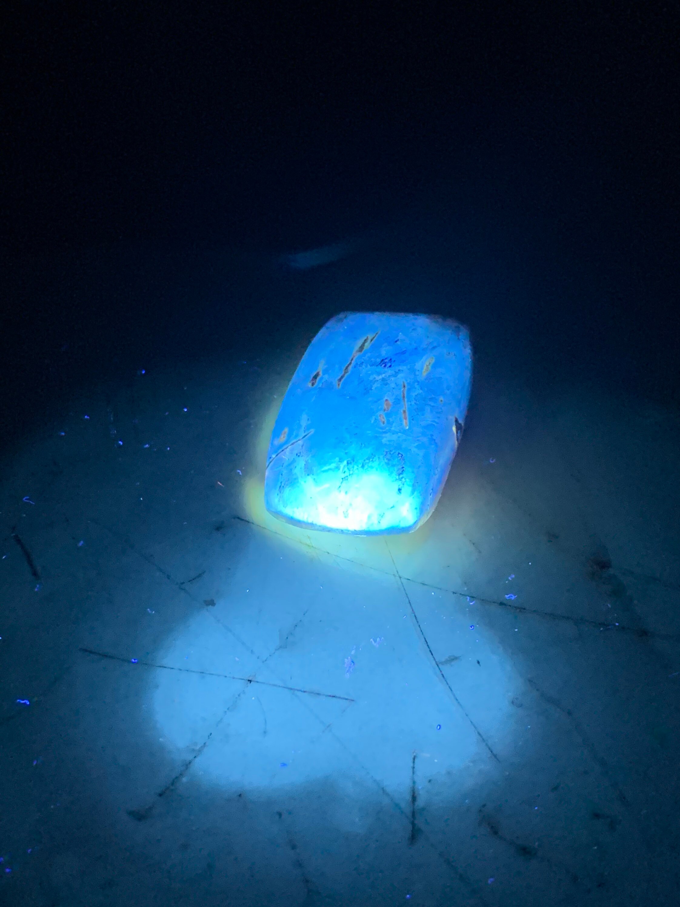 Polished Amber Fossilized Tree Sap Chiapas Mexico Mineral Specimen - Etsy