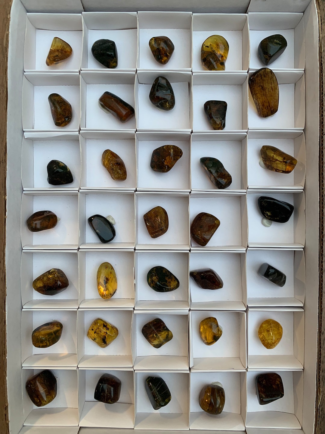 Polished Amber Fossilized Tree Sap UV Reactive Wholesale Flat Mineral ...