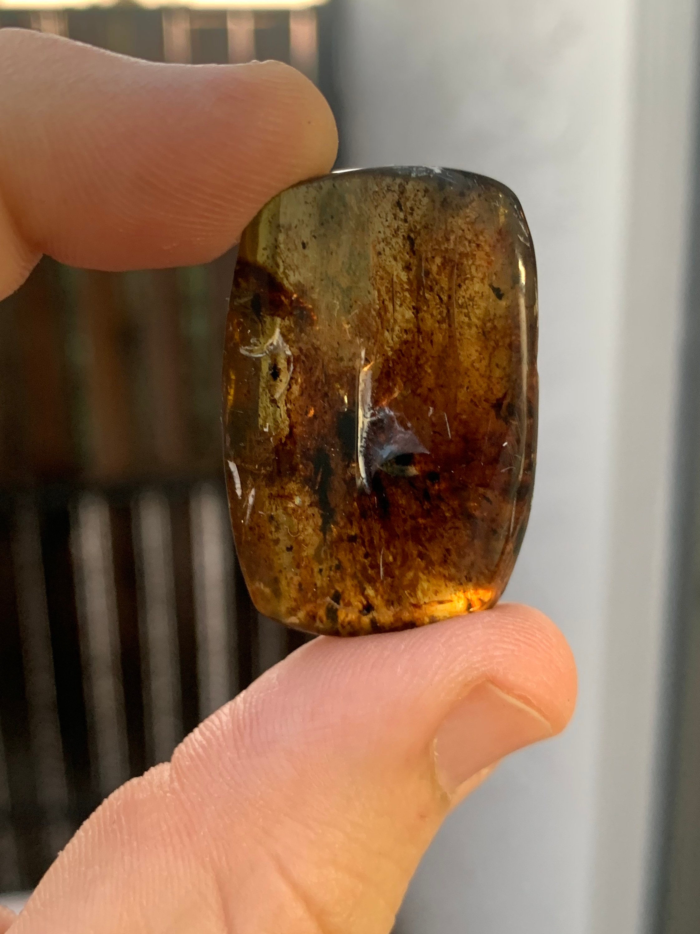 Polished Amber Fossilized Tree Sap Chiapas Mexico Mineral Specimen - Etsy