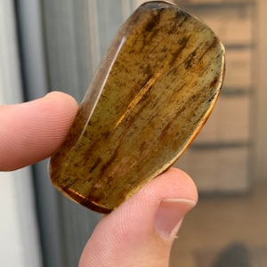 Polished Amber Fossilized Tree Sap UV Reactive Wholesale Flat Mineral ...