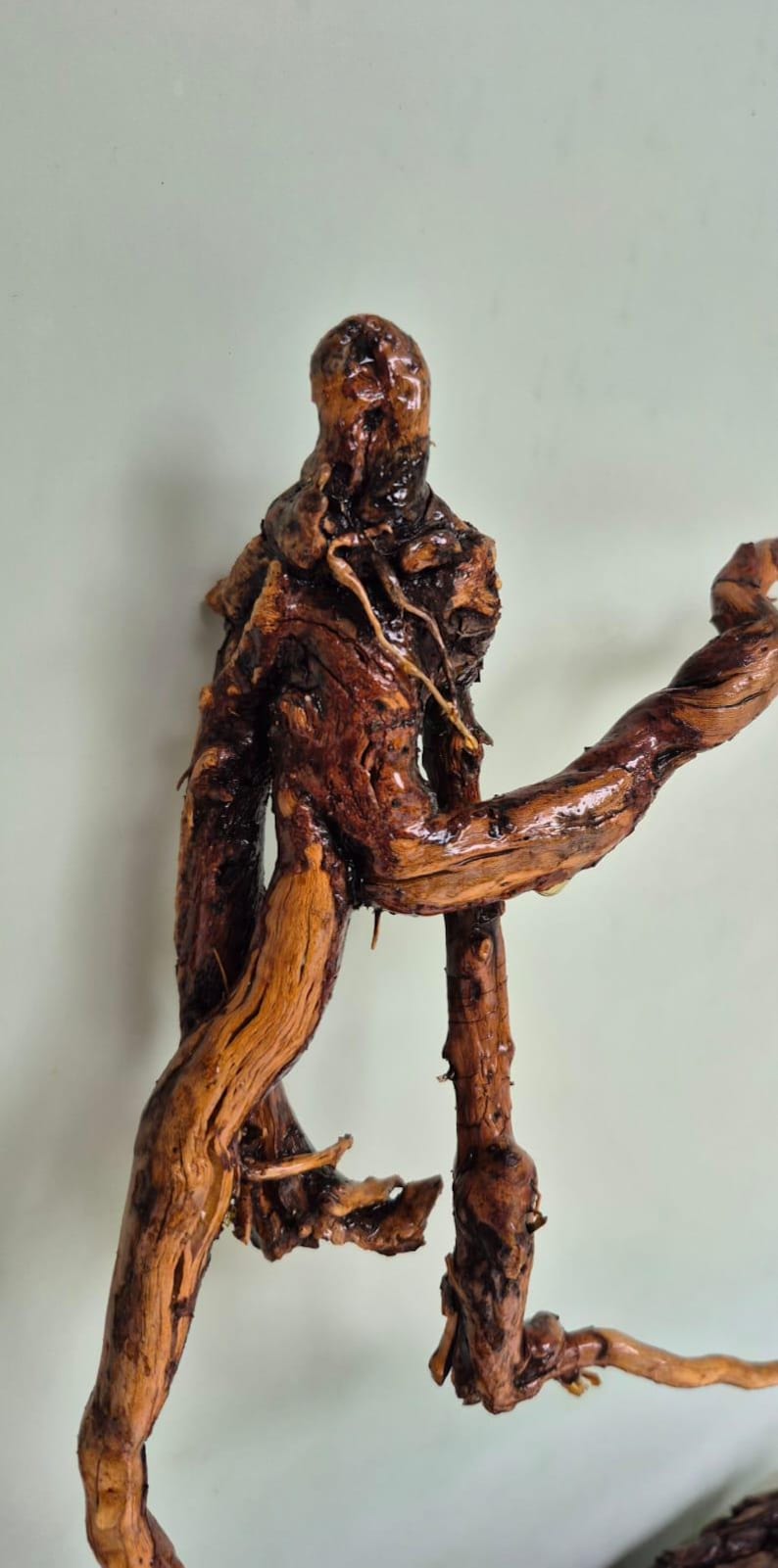 Natural Root Sculpture: Abstract Wood Art, Fantasy Decor - Etsy