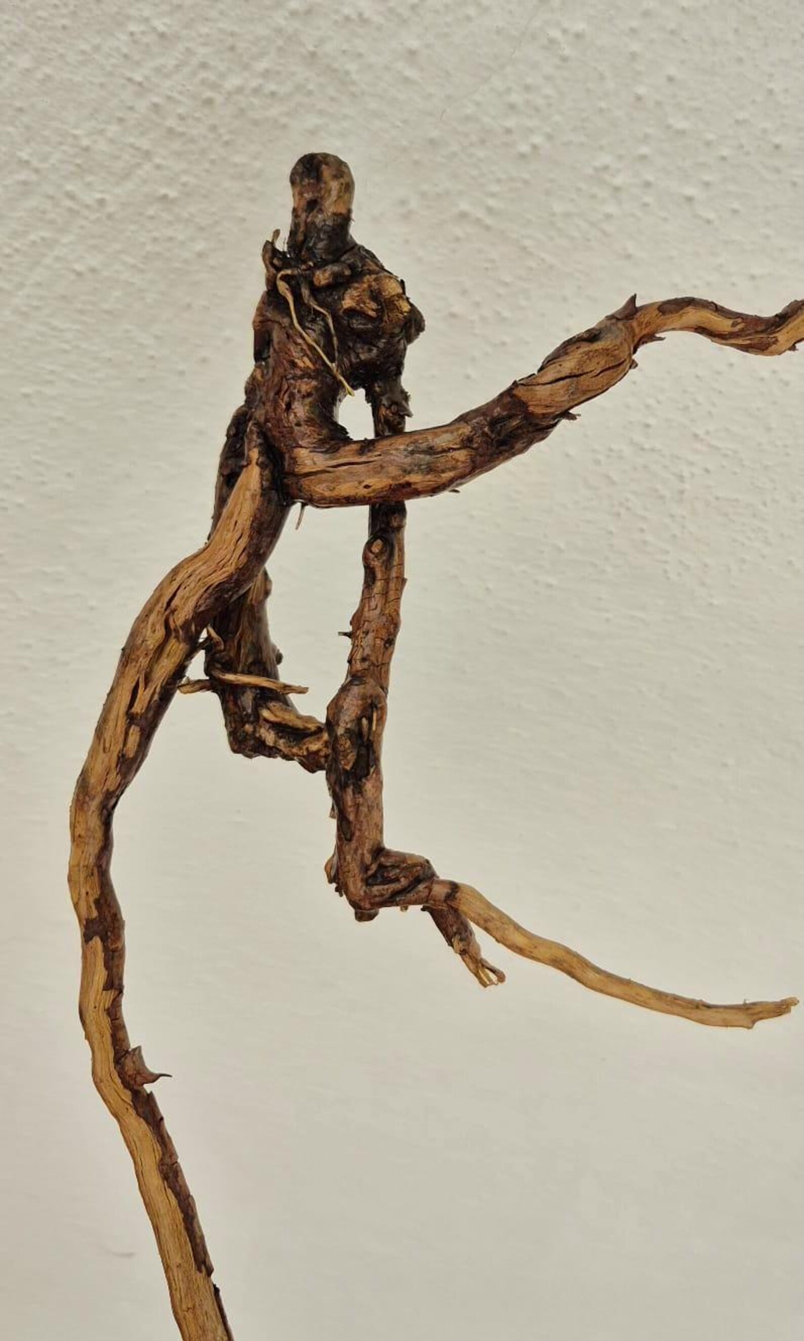 Natural Root Sculpture: Abstract Wood Art, Fantasy Decor - Etsy