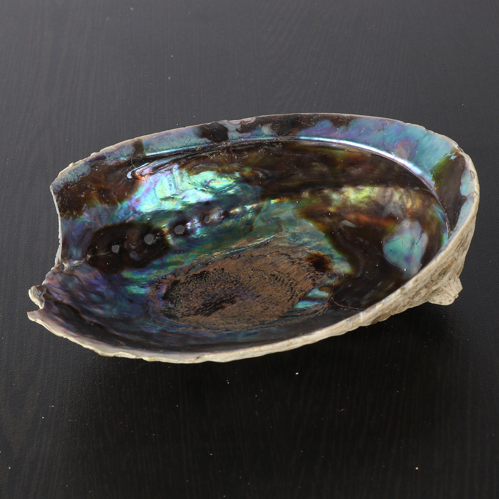 412.00 Ct. Rainbow Shell Abalone Sea Shell Natural Rainbow | Etsy