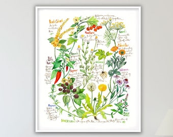 Medicinal Herbs Poster - Etsy