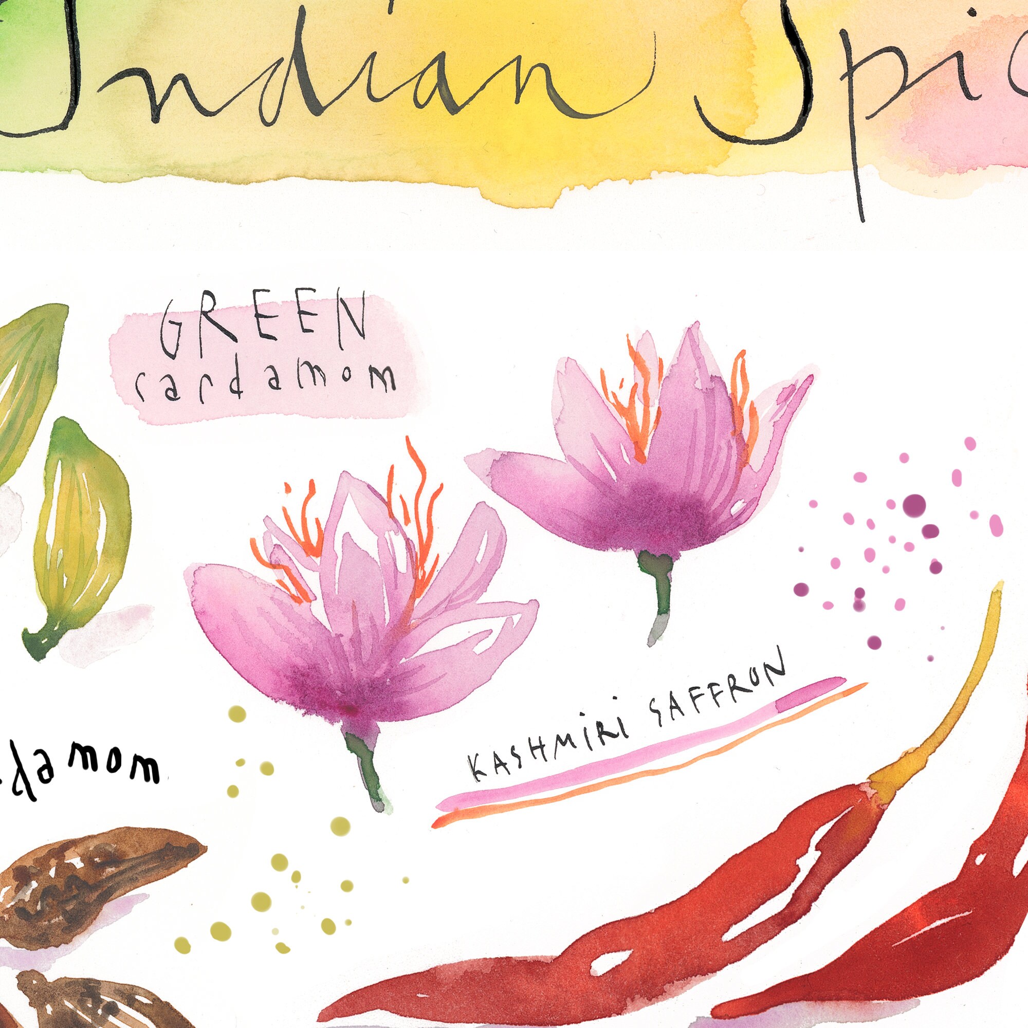 Large Indian Spices Poster, India Kitchen Print, Watercolor Painting ...