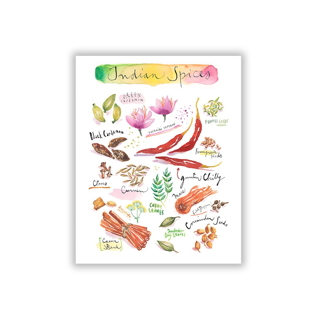 Large Indian Spices Poster, India Kitchen Print, Watercolor Painting ...