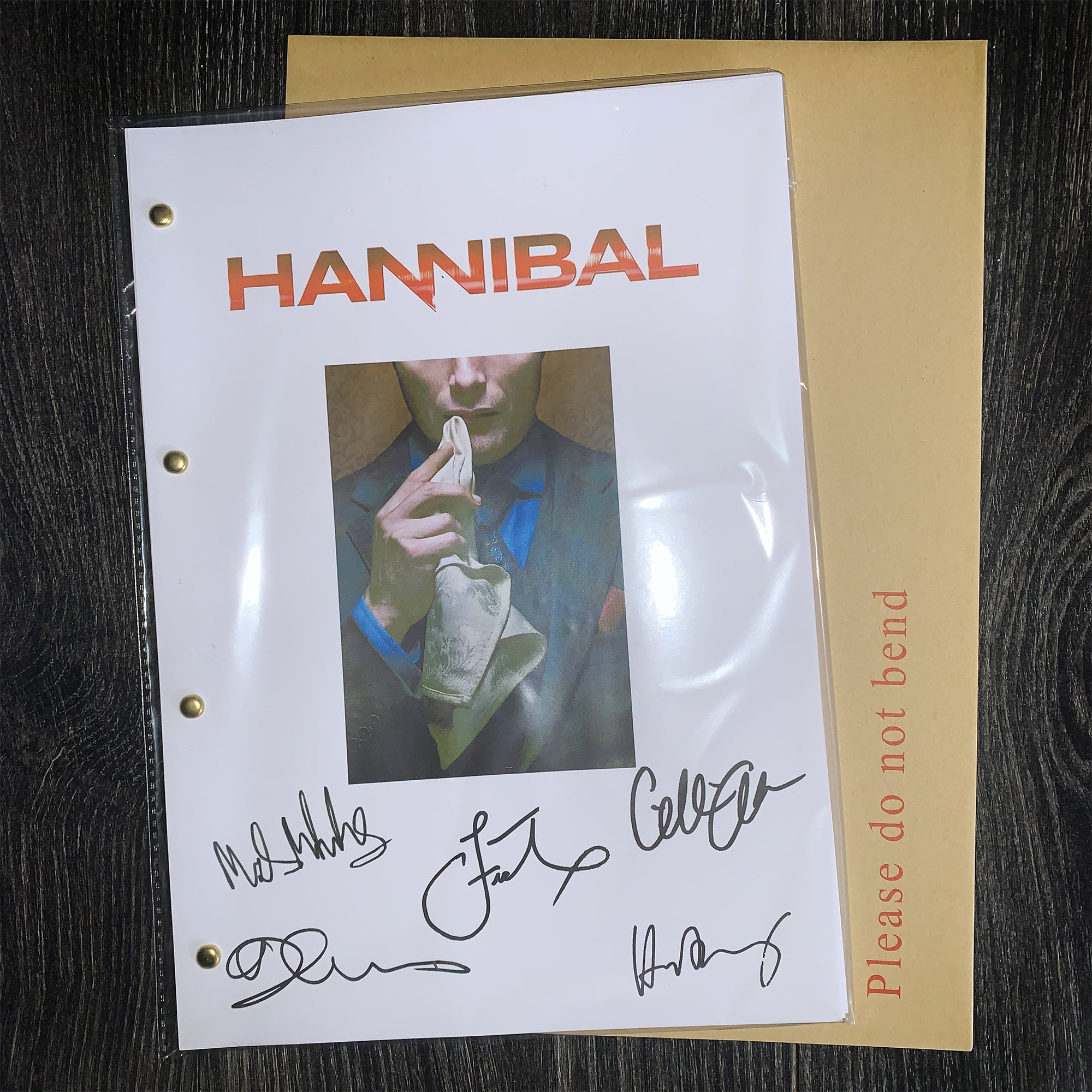 Hannibal / Pilot Episode Transcript / Script / Screenplay / - Etsy