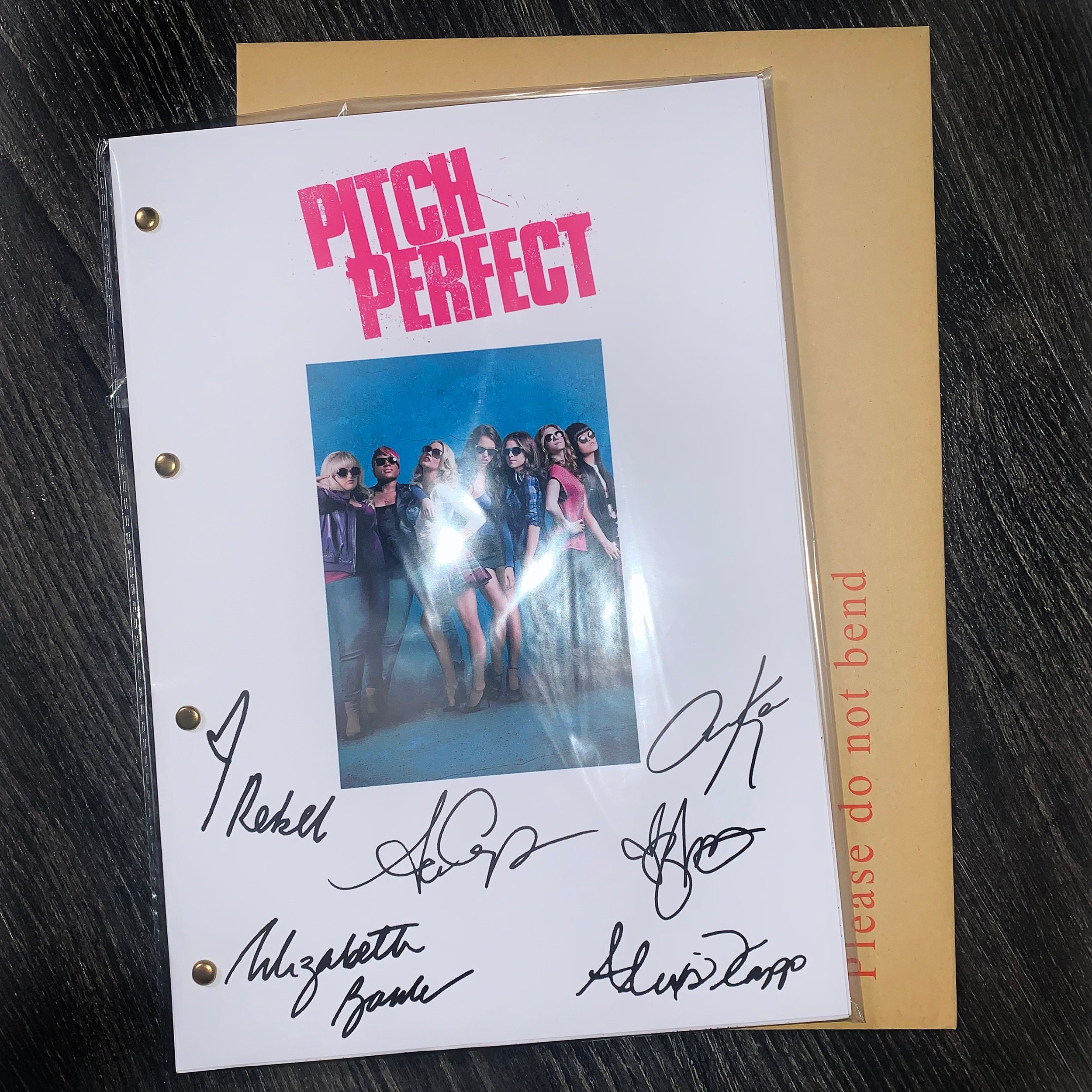 Pitch Perfect Movie Transcript / Script / Screenplay / | Etsy