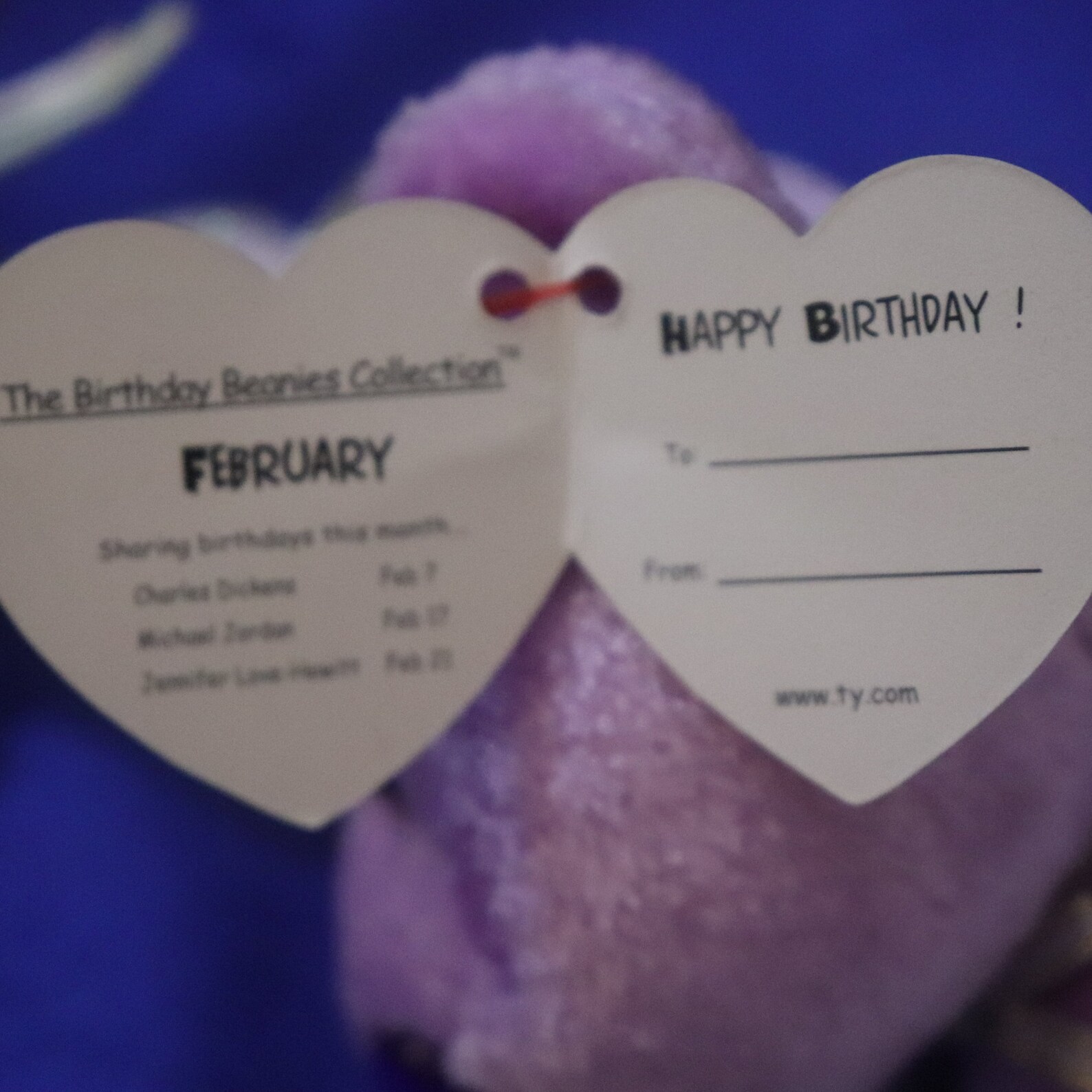 Ty Beanie Babies February Birthday Beanie DOB 2002 Ty P.E. | Etsy