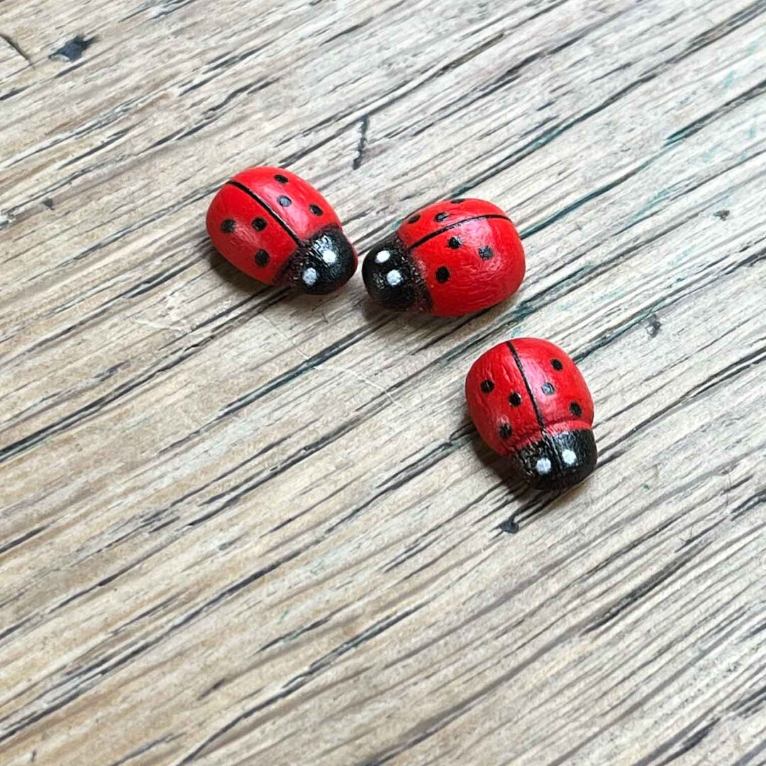 Ladybug Terrarium Figurines - Etsy
