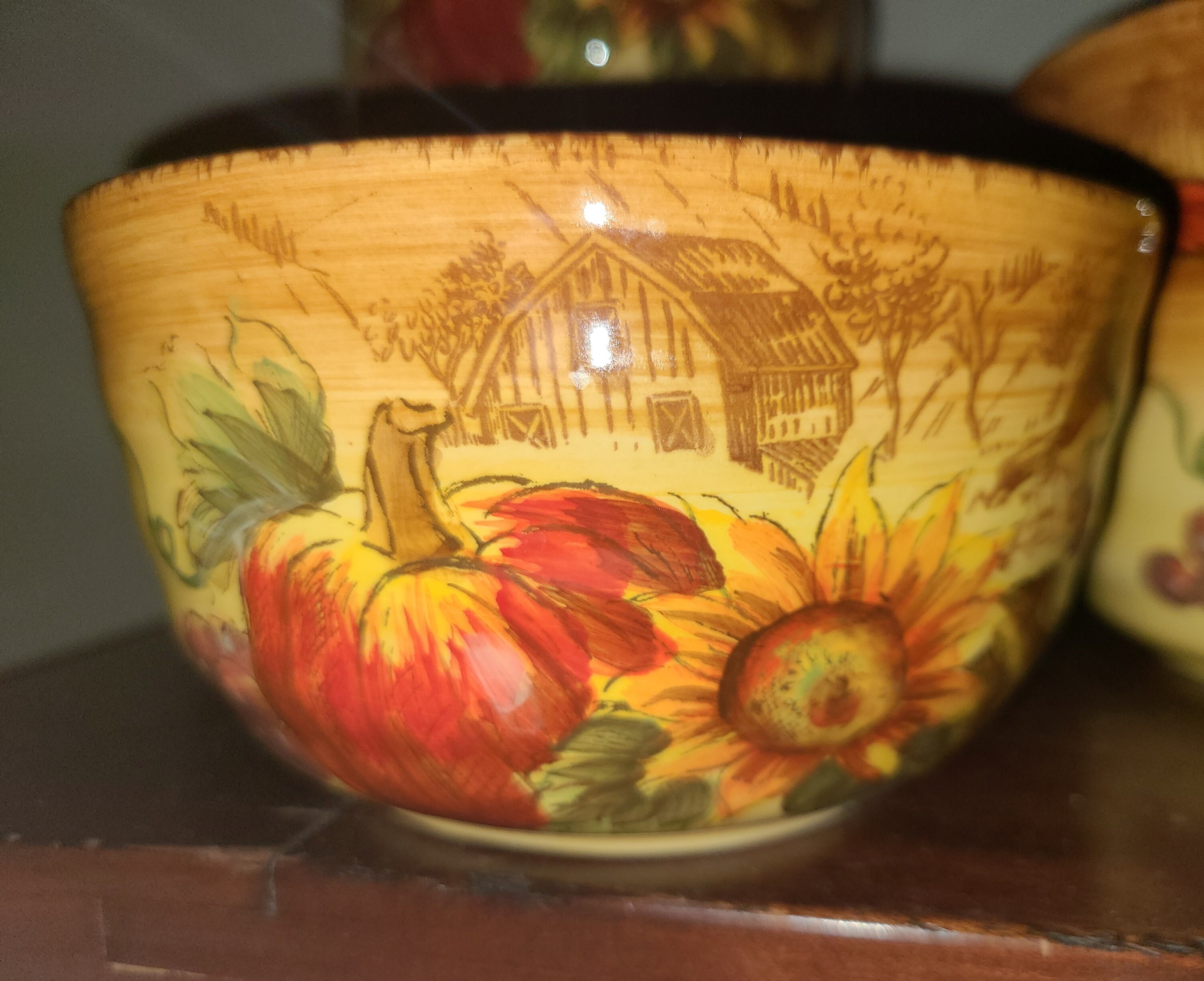 Set of 6 Maxcera Cornucopia Bounty Cereal / Soup Bowls - Etsy