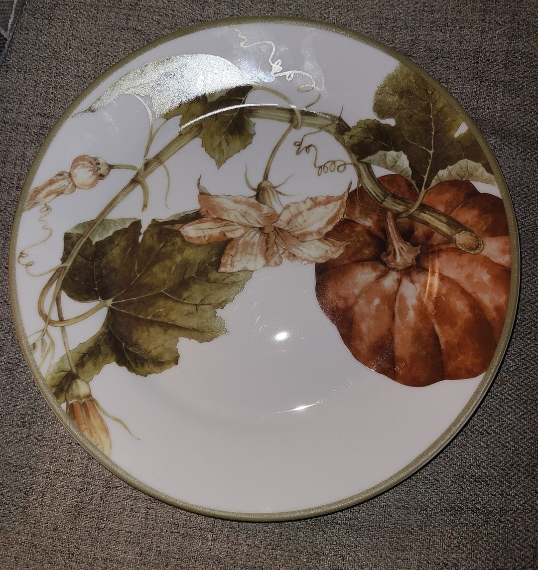Set of 4 Williams Sonoma Botanical Pumpkin Dinner Plates 11" - Etsy