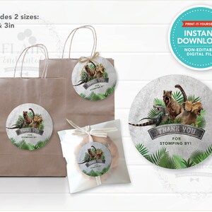 Dinosaur Favor Tag, Thank You Tag, Dinosaur Favor Label, Dinosaur ...