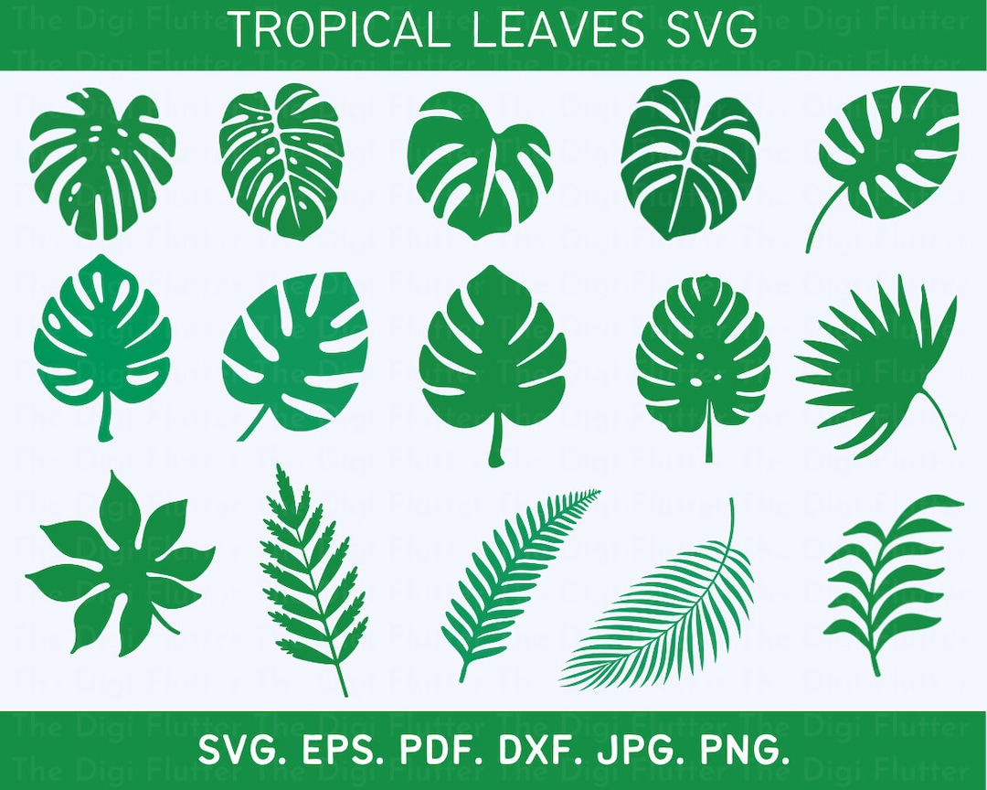 Monstera Leaf SVG Bundle: Tropical Plant Clip Art (digital Download) - Etsy
