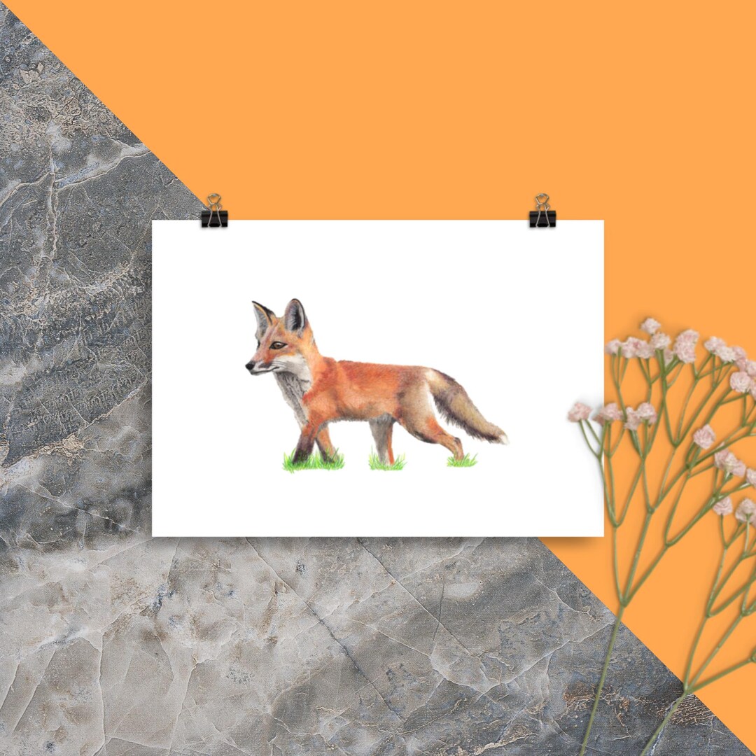 Fox - A4 Art Print - Hand Drawn Colour Pencil - Home Decor - Artwork ...