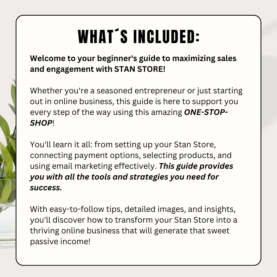 Beginners Guide to Stan Store Email Automation Ebook With MRR PLR Done ...